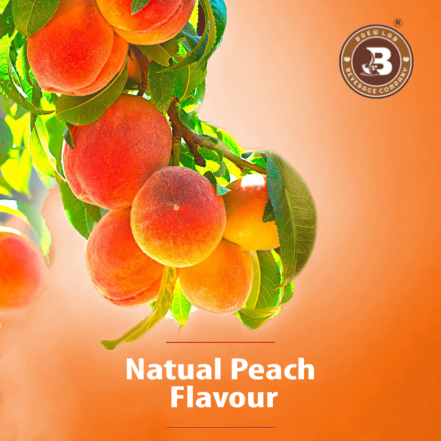 Brew Lab Healthy & Refreshing Ice Tea Peach Premix | Goodness of ...